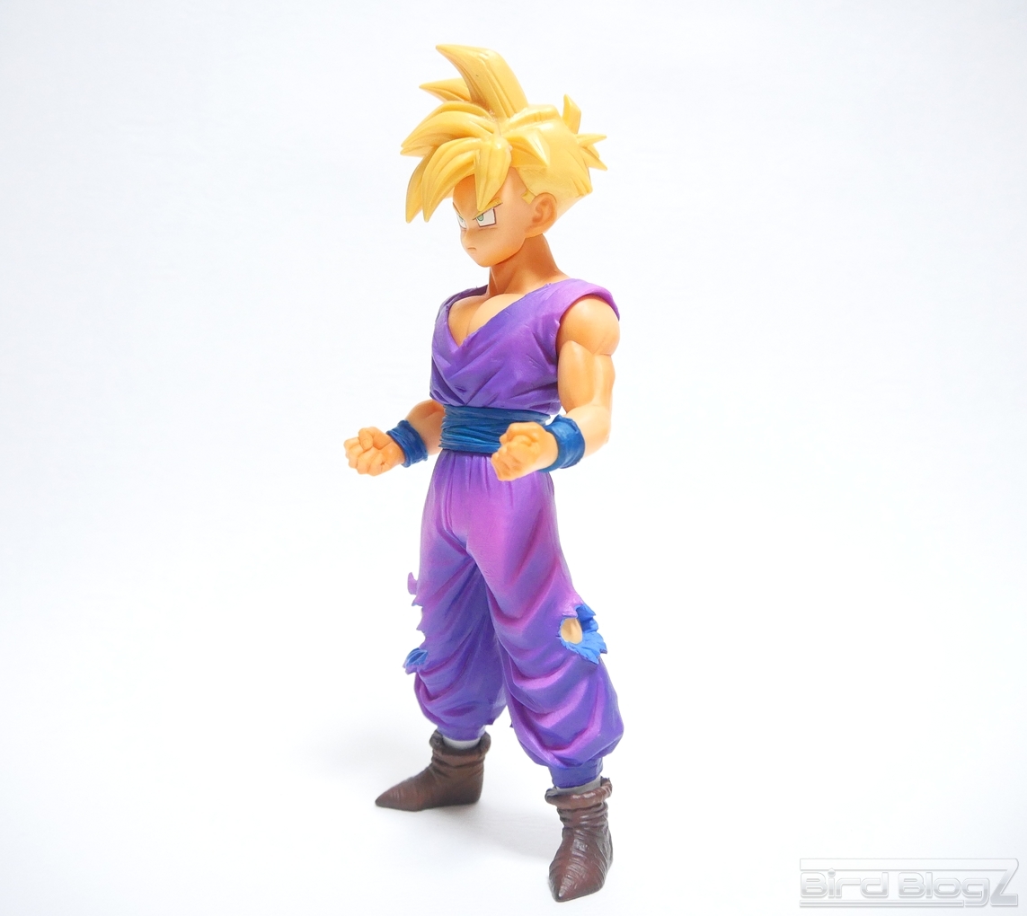 grandista_gohan_41 | BirdBlog-Z