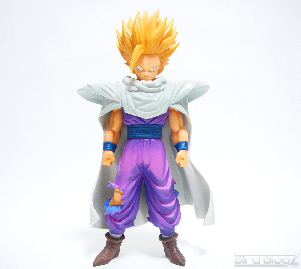 grandista_gohan_50 | BirdBlog-Z