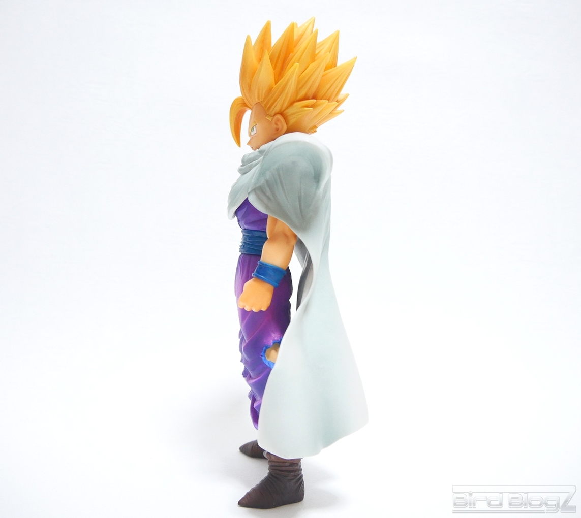 grandista_gohan_56 | BirdBlog-Z
