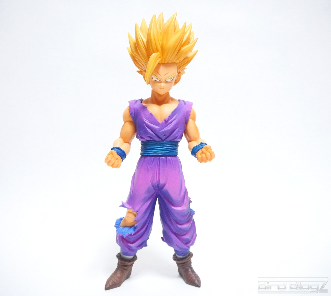 grandista_gohan_58 | BirdBlog-Z